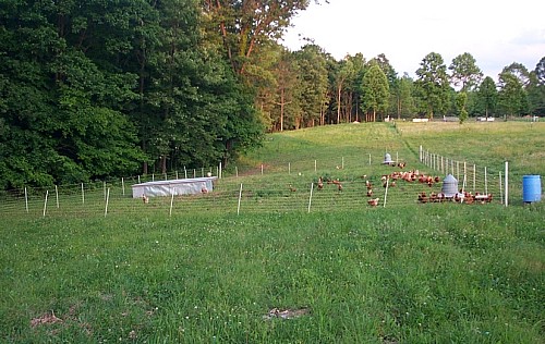 High Bottom Farm | Farm Tour