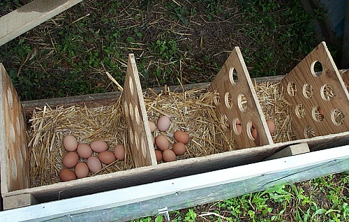 High Bottom Farm | Farm Tour