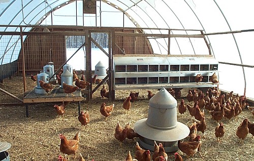 High Bottom Farm | Farm Tour